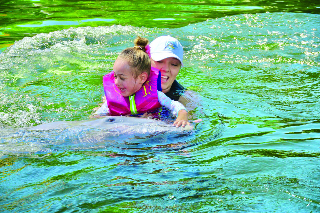 Moments That Matter - Island Dolphin Care - KEYS LIFE MAGAZINE